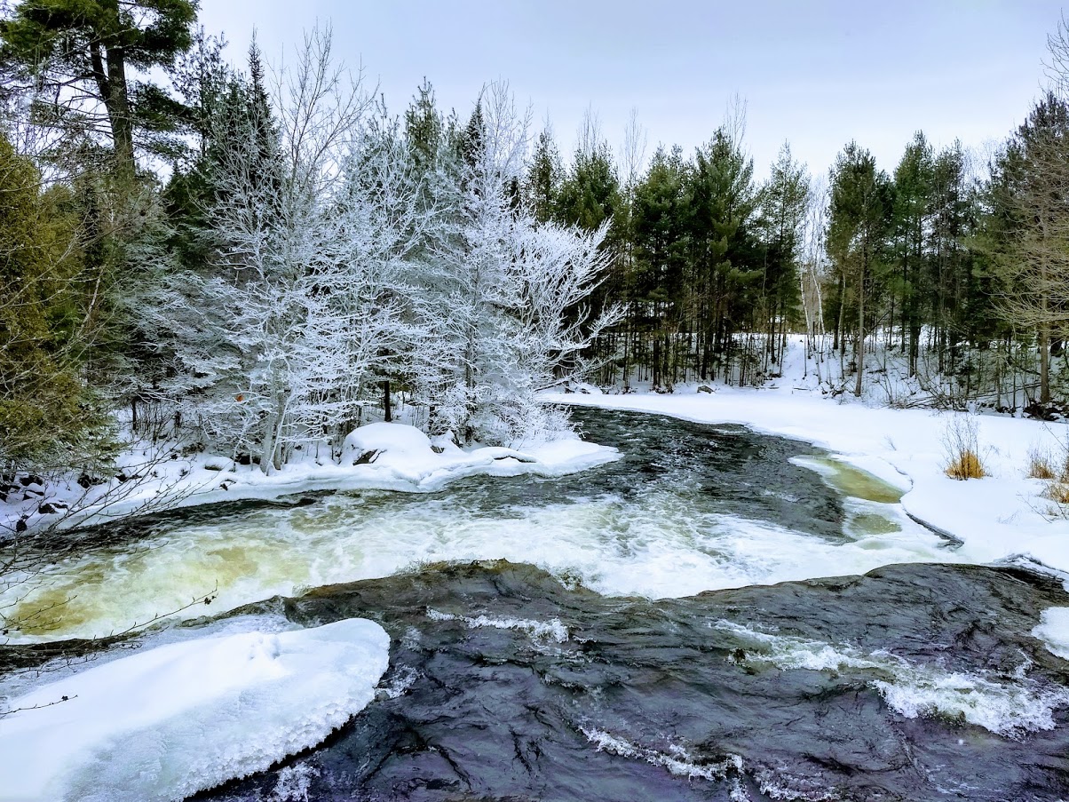 Cedar Falls Campground | Wisconsin Valley Improvement Company